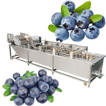 China High Pressure Blueberry Cleaning Machine Blueberry Washing ...