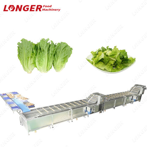 Industrial Green Leafy Vegetables Lettuce Processing Equipment Lettuce ...