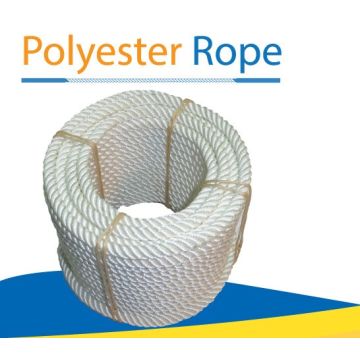 Buy Wholesale Vietnam Polyester Rope - High Quality & Pes Rope at USD 3 ...