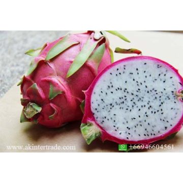 Buy Wholesale Thailand Frozen Iqf Dragon Fruit Thailand,10 Kg Per ...