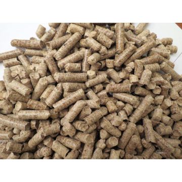 Buy Wholesale Thailand Wood Pellets Sawdust Pellet, Firewood, Charcoal ...