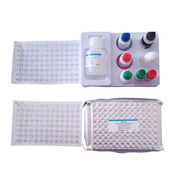 Buy Wholesale China Chlamydia Trachomatis Antibody Igg Elisa Kit ...