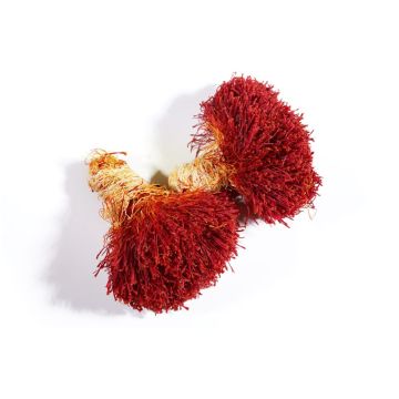 Buy Wholesale Australia Bunch (dasteh Or Dokhtarpich) Saffron & Bunch ...