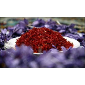 Buy Wholesale South Korea Saffron & Saffron | Global Sources
