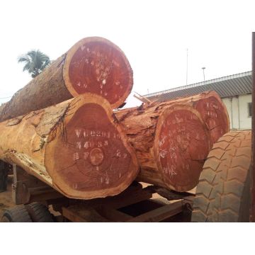 Buy Wholesale Cameroon Africa Doussie / Tali / Azobe / Rosewood ...