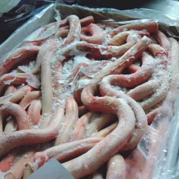 Buy Wholesale Cameroon Frozen Beef Carcass/frozen Beef Cuts/ Halal ...