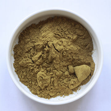Buy Wholesale China Gynosetemma Pentaphylla Powder With Gynostemma Extract 98% & Gynostemma ...