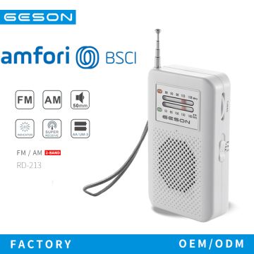 Buy Wholesale China Am/fm Dual-band Manual Selection Station No.5 Aa ...