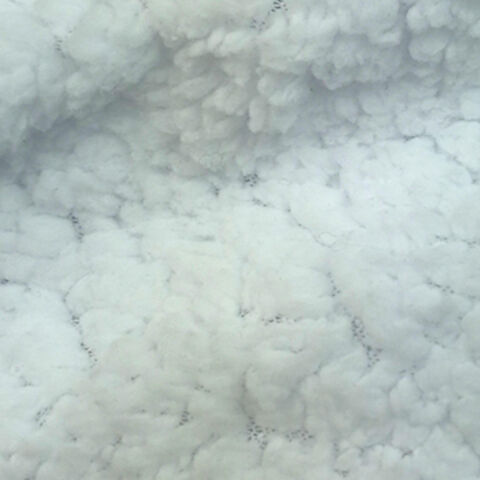Taiwan Taiwan Origin 100% Polymicro Sherpa Fleece Fabric on Global Sources