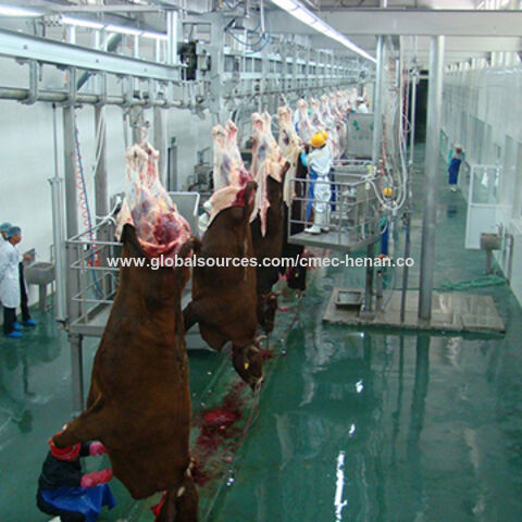 China Halal Complete Automatic cattle slaughter machine on Global ...