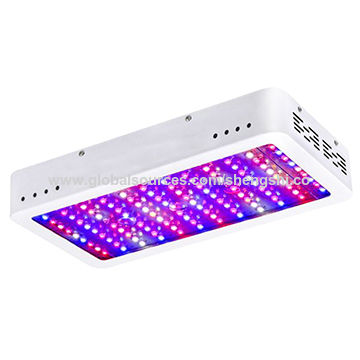 Buy Wholesale China Greenhouse Full Spectrum Hans Panel Mushroom 1200w ...