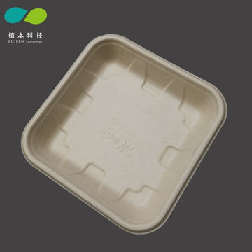 Buy Wholesale China Biodegradable Disposable Sugarcane Pulp Square Food ...