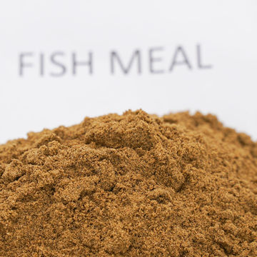 Buy Wholesale China Fish Meal Animal Feed Protein Powder & Fish Meal at ...