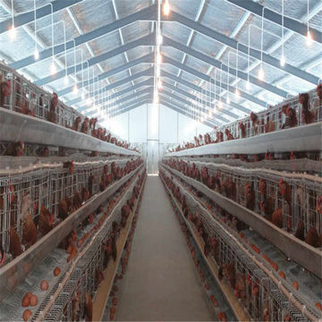Buy Wholesale China Prefabricated Chicken House & Chicken House at USD ...