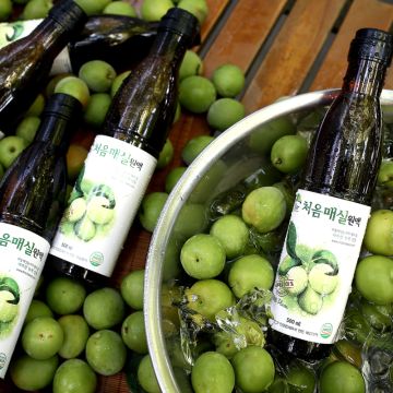 Buy Wholesale South Korea Korean Green Plum Extract ( Plum ...