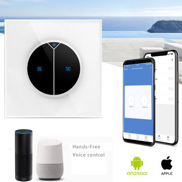 Buy Wholesale China Alexa Smart Light Switch, Voice Control 2 Gang Wifi ...