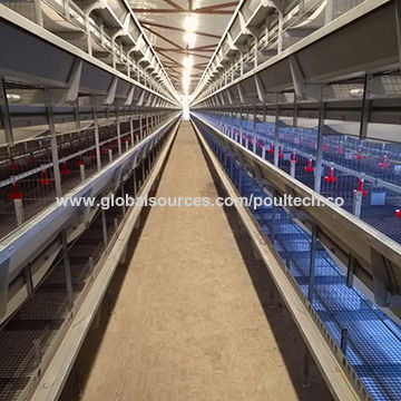 Buy Wholesale China H Frame Battery Baby Chicken Coops System Equipment ...