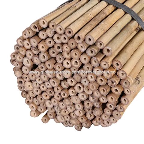 Eco-friendly Bamboo Plant Support Tonkin Cane For Agriculture - Buy ...