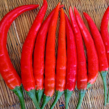 Buy Standard Quality Thailand Wholesale Red Chili Pepper Or Thailand ...