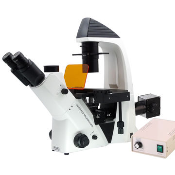 Buy Wholesale China OPTO-EDU Fluorescent LED Microscope EPI BGUV ...