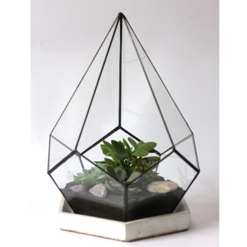 Buy Wholesale Austria Hand Made Glass Terrariums For Plants & Terrarium ...