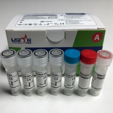Buy Wholesale China Novel Coronavirus Fast Detection Kit,diagnostic ...
