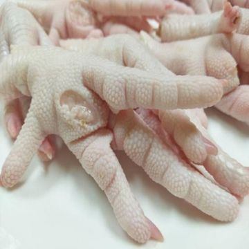 Buy Wholesale Brazil Quality Halal Frozen Whole Chicken,halal Frozen ...