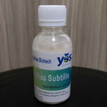 Liquid Bacillus Subtilis For Bio-organic Fertilizers 5 Billion Cfu/g ...