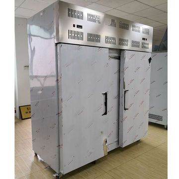 Shock freezing blast chiller for mango ice cream durian fries chips ...