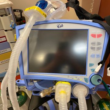 Buy Wholesale Germany In-900b Neonatal Anesthesia Medical Icu Non ...