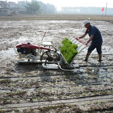 Transplanters, Walking Behind Type Rice Transplanter, Gasoline 4.5/5HP ...