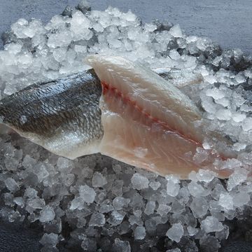 Frozen red sea bream fillet for sale, Food & Beverage Seafood Fish ...
