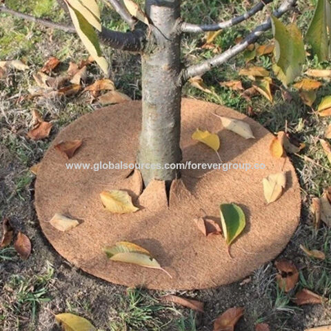 Coconut Roll Rubber Husk Natural Coco Fiber Mats - China Wholesale ...