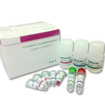 Buy Wholesale China The Laboratory Develops Nucleic Acid Testing ...