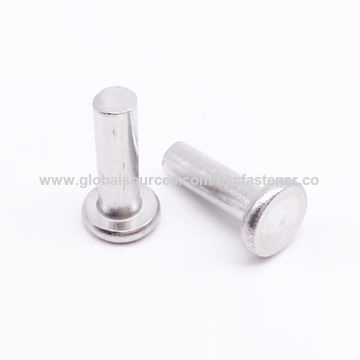 Buy Wholesale China Flat Head And Pan Head Solid Rivets & Solid Rivet ...