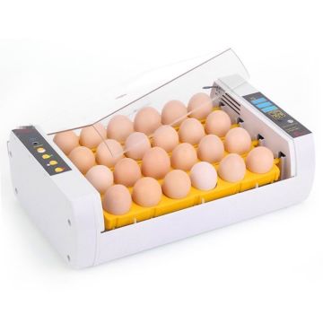Buy Wholesale United States 24 Eggs Automatic Egg Incubator Temperature ...