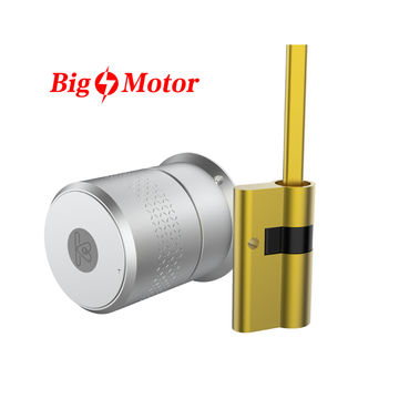 China M521 Big Motor Smart Door Lock Support Multi-point Mortise Door ...