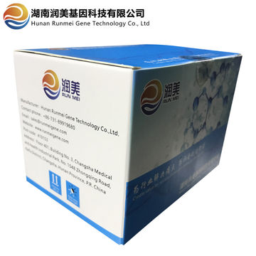 Vi rus Detection Kit PCR Method Rapid Test Kit for PCR Method ...