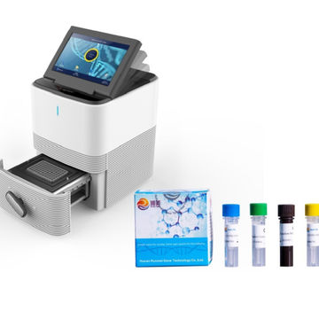 Buy Wholesale China Medical Device 96 Well Pcr System, Laboratory Pcr ...