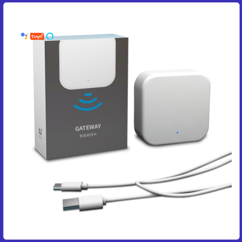 Wifi bluetooth IoT gateway LoRa hub home system accept customized, LoRa ...