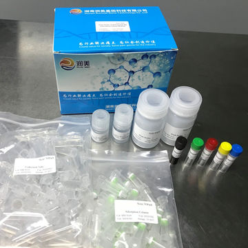 Nucleic acid detection reagent Testing(RT-PCR), Disposable Sampler PCR ...
