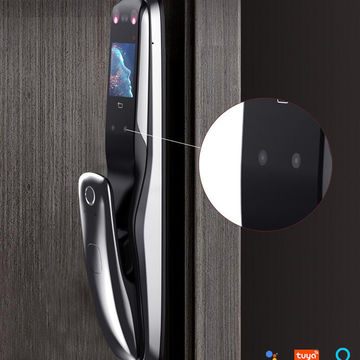 Intelligent face lock with bluetooth wifi fingerprint face palm door ...