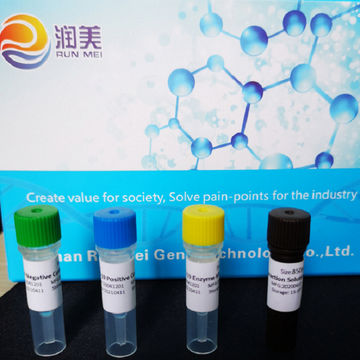Buy Wholesale China White Listed Factory Nucleic Acid Test Kit Fda,sgs ...