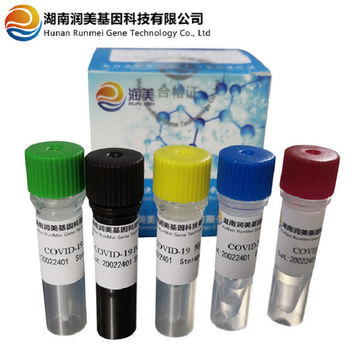 Rapid Medical Diagnostic Nucleic Acid Test Kit for Novel corona ...