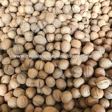 Buy Wholesale China 185 Walnuts In Shell , Xinjiang Origin & 185 Walnuts,walnuts In Shell ...