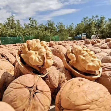 Buy Wholesale China Hot sale Top Grade 2020 XinJiang Walnuts High ...