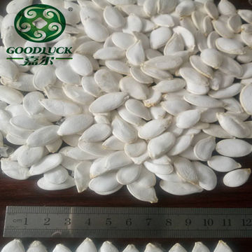 Buy Wholesale China Supplier Sale Snow White Pumpkin Seed 11cm/13cm ...
