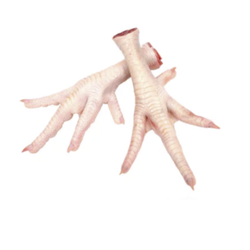 Buy Wholesale India Grade Aa Frozen Chicken Feet/ Processed Frozen ...