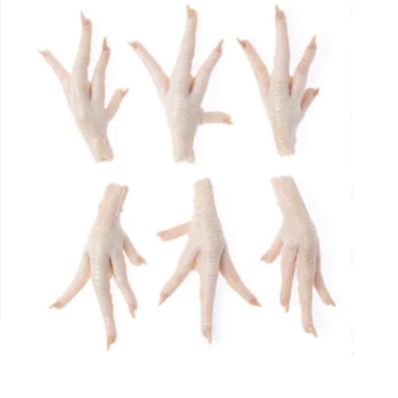 Frozen Chicken Paws - India Wholesale Chicken Paws, Frozen Chicken Paws ...