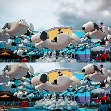 Buy Wholesale China Self Control Plane Dog Ride Hffj06--hotfun ...